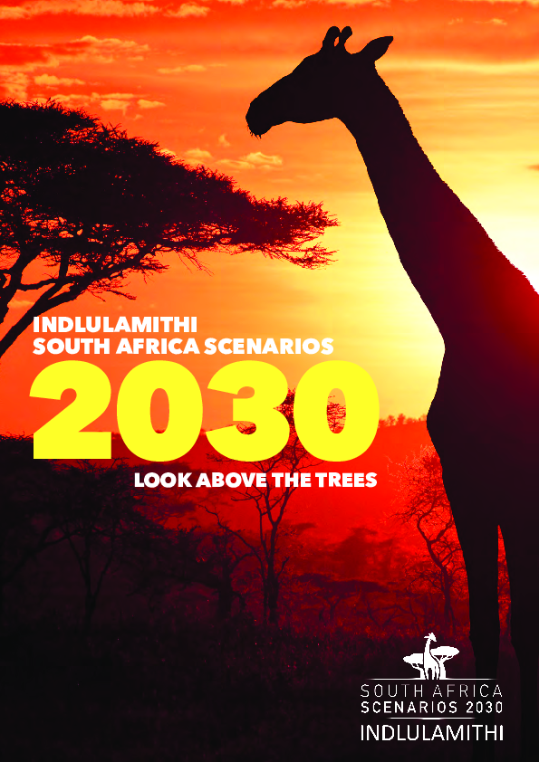 (PDF) Indlulamithi South Africa Scenarios 2030 - look above the trees