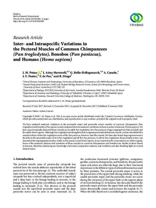 (PDF) Inter- and Intraspecific Variations in the Pectoral Muscles of ...