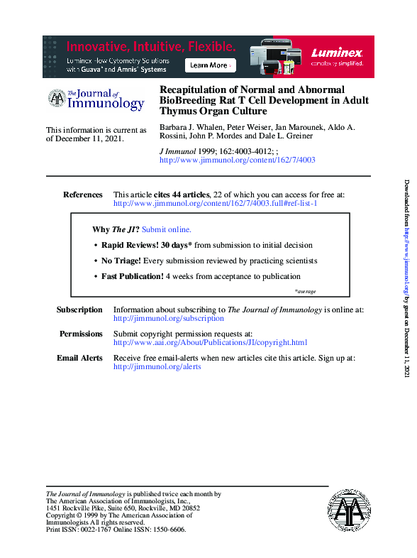 (PDF) Recapitulation of normal and abnormal BioBreeding rat T cell ...