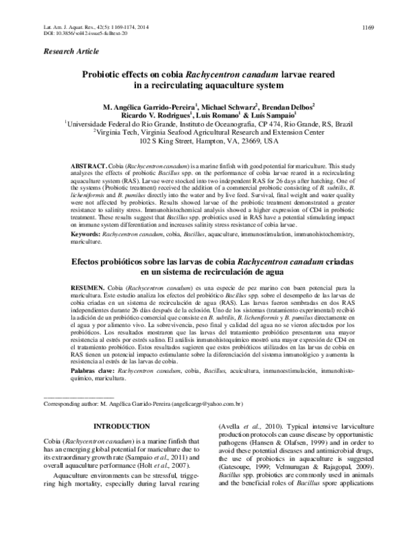 (PDF) Probiotic effects on cobia Rachycentron canadum larvae reared in ...