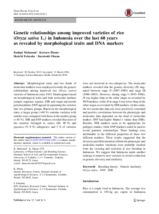 (PDF) Genetic relationships among improved varieties of rice (Oryza sativa L.) in Indonesia over ...