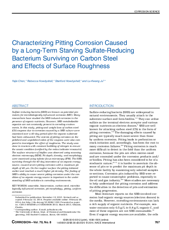 (PDF) Characterizing Pitting Corrosion Caused by a Long-Term Starving ...
