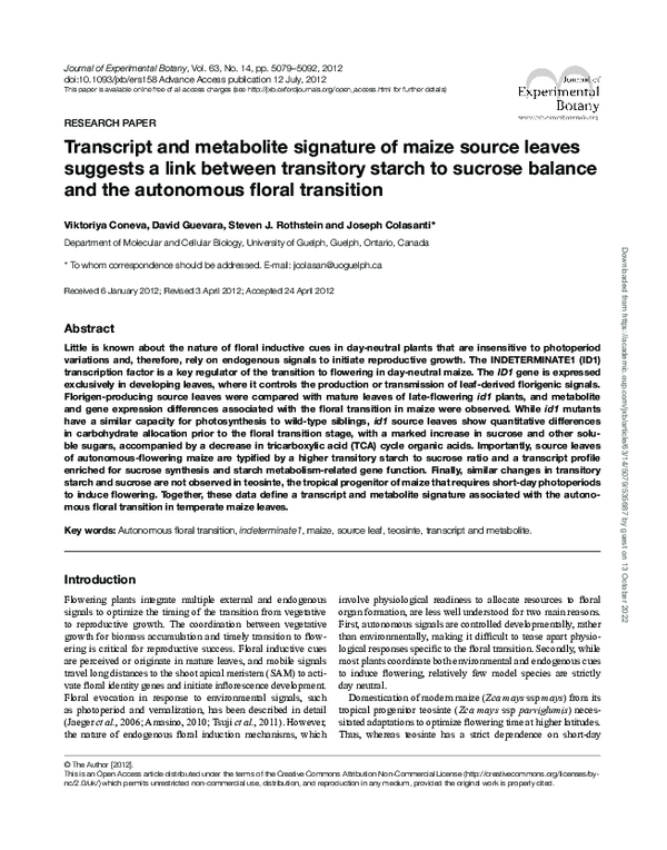 (PDF) Transcript and metabolite signature of maize source leaves ...