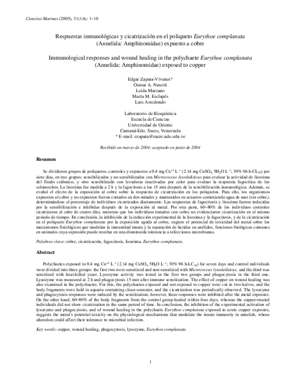 (PDF) Immunological responses and wound healing in the polychaete ...