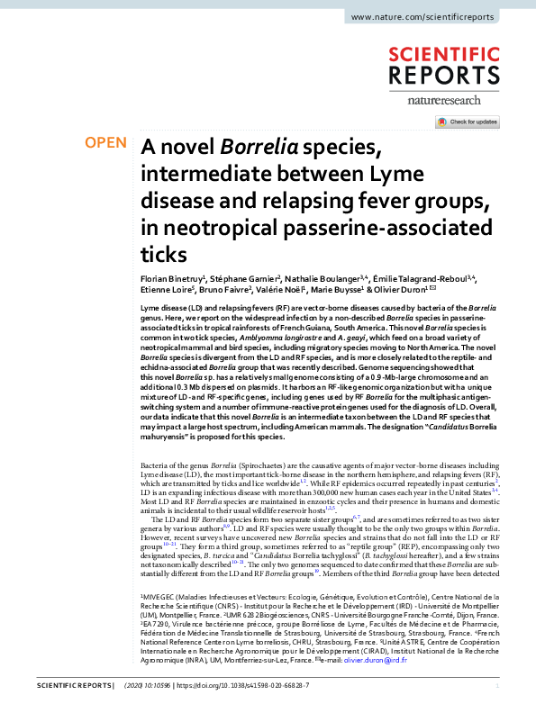 (PDF) A novel Borrelia species, intermediate between Lyme disease and ...