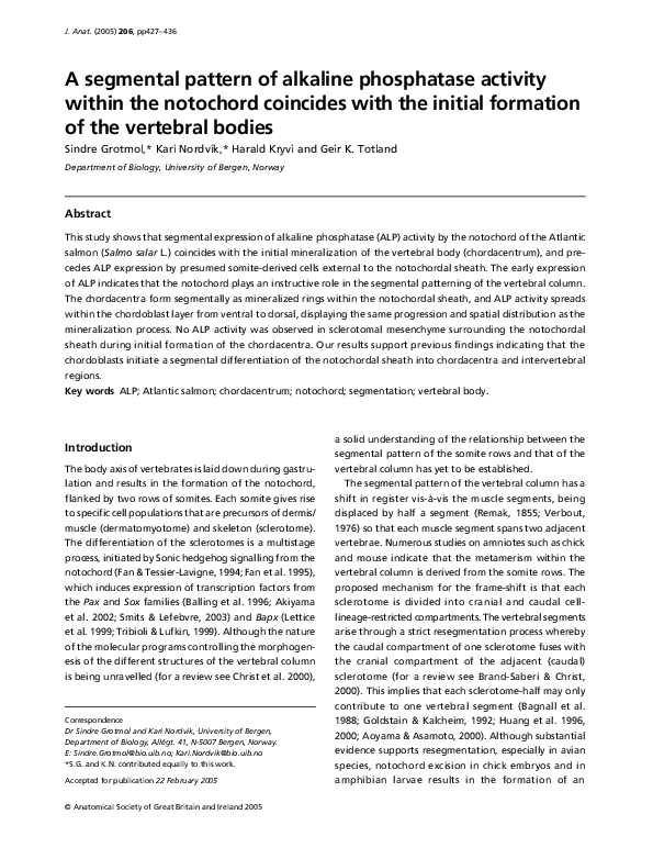 (PDF) A segmental pattern of alkaline phosphatase activity within the ...