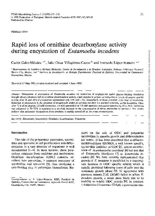 (PDF) Rapid loss of ornithine decarboxylase activity during encystation ...