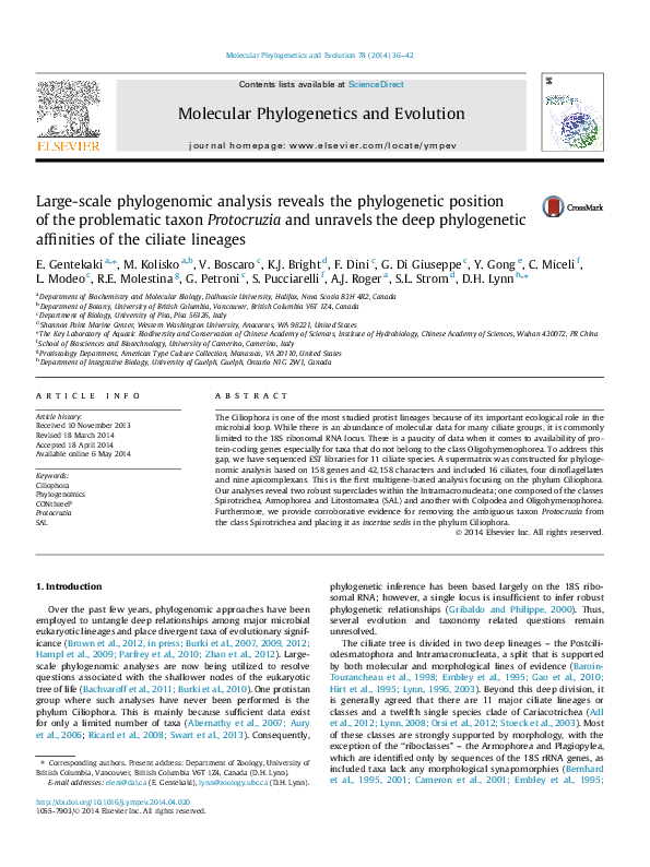 (PDF) Large-scale phylogenomic analysis reveals the phylogenetic ...