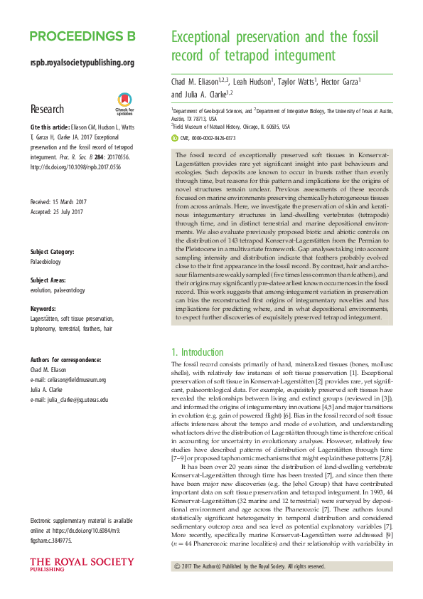 (PDF) Exceptional Preservation and the Fossil Record of Tetrapod Integument