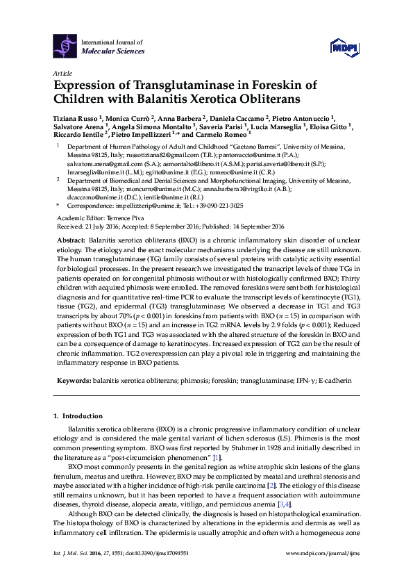 (PDF) Expression of Transglutaminase in Foreskin of Children with ...