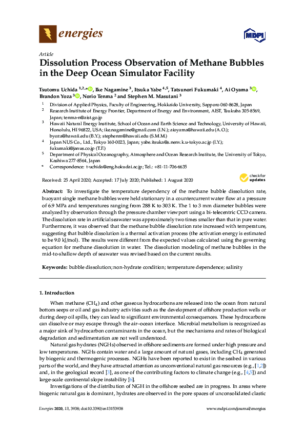 (PDF) Dissolution Process Observation of Methane Bubbles in the Deep Ocean Simulator Facility