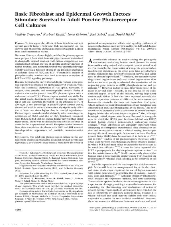 (PDF) Basic Fibroblast and Epidermal Growth Factors Stimulate Survival in Adult Porcine ...