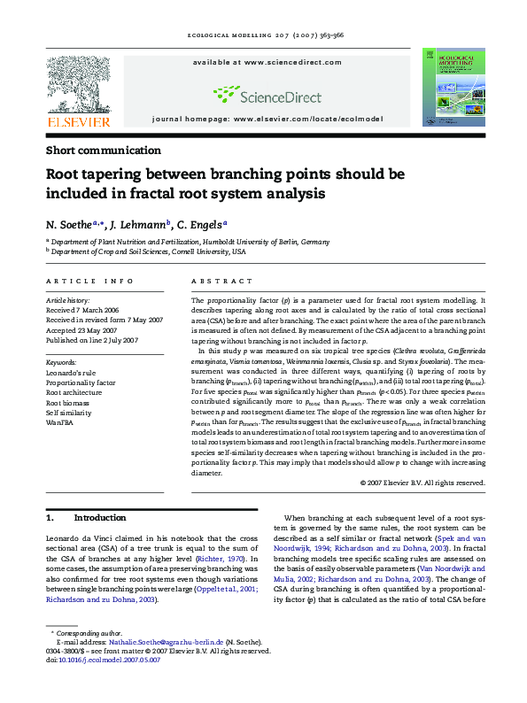 (PDF) Root tapering between branching points should be included in ... (PDF) Root tapering between branching points should be included in ...