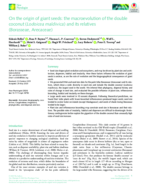 (PDF) On the origin of giant seeds: the macroevolution of the double ...
