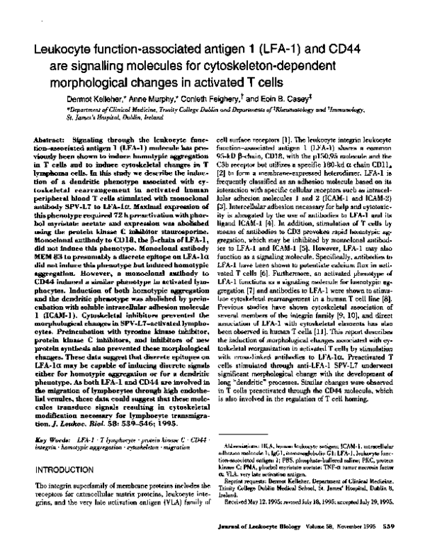 (PDF) Leukocyte function-associated antigen 1 (LFA-1) and CD44 are ...