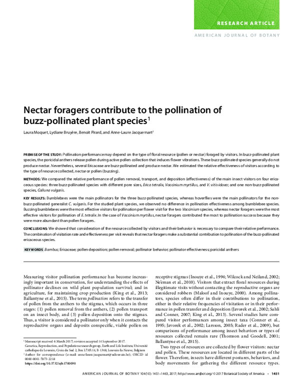 (PDF) Nectar foragers contribute to the pollination of buzz‐pollinated ...