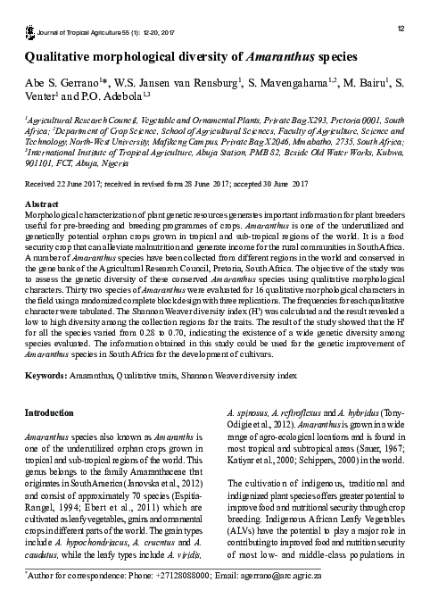 Pdf Qualitative Morphological Diversity Of Amaranthus Species