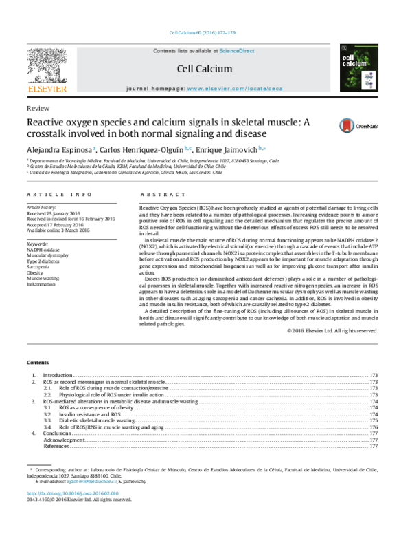 (PDF) Reactive oxygen species and calcium signals in skeletal muscle: A ...