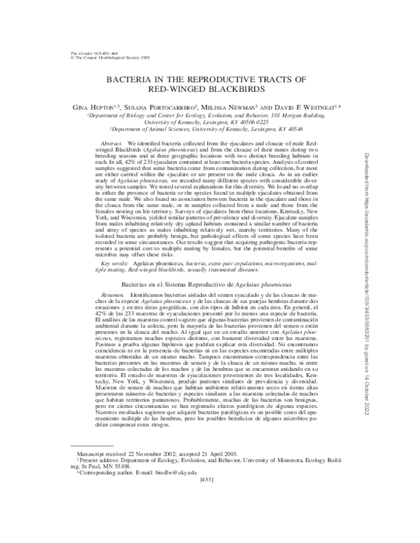 (PDF) Bacteria in the Reproductive Tracts of Red-Winged Blackbirds