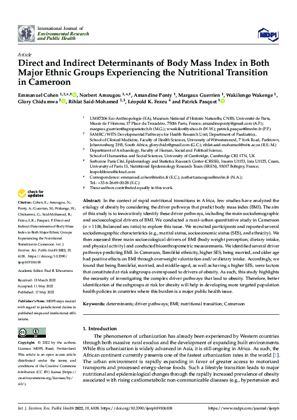 (PDF) Direct and Indirect Determinants of Body Mass Index in Both Major Ethnic Groups ...