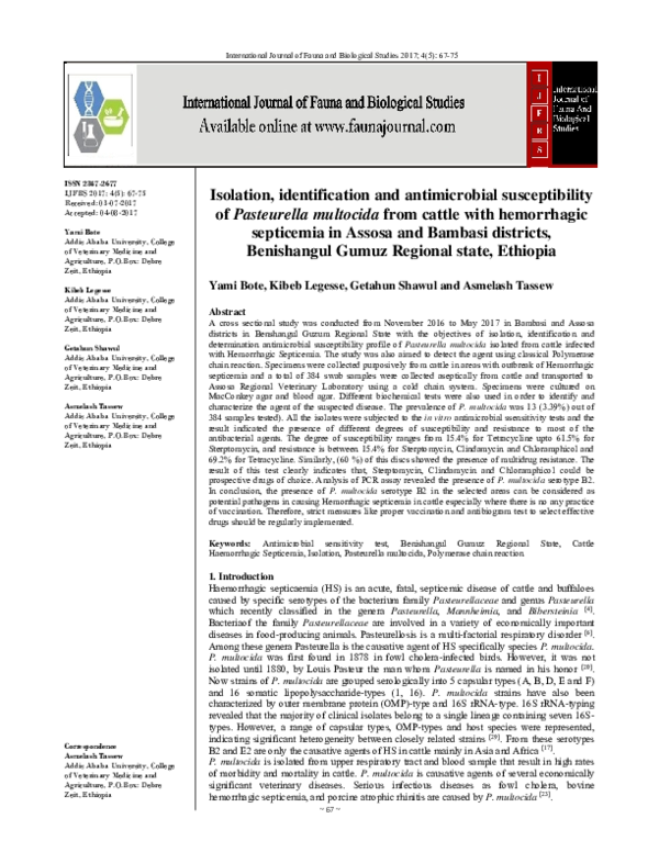(PDF) Isolation, identification and antimicrobial susceptibility of ...