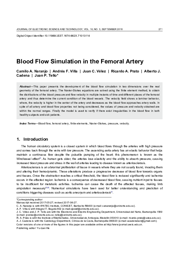 (PDF) Blood Flow Simulation in the Femoral Artery