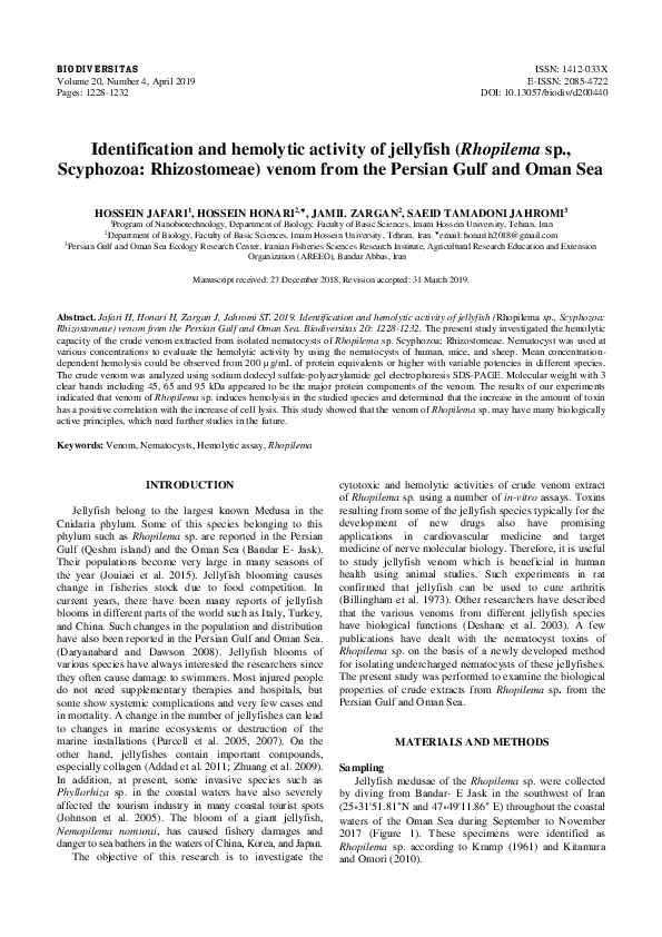 (PDF) Identification and hemolytic activity of jellyfish (Rhopilema sp ...
