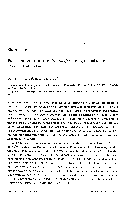 (PDF) Predation on the toad Bufo crucifer during reproduction (Anura ...