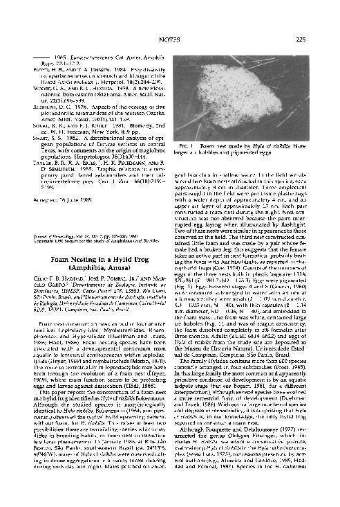 (PDF) Foam Nesting in a Hylid Frog (Amphibia, Anura)