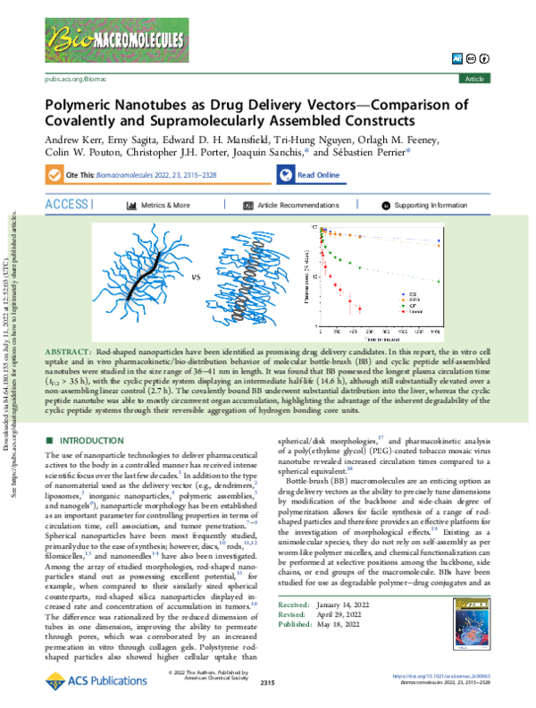 (PDF) Polymeric Nanotubes as Drug Delivery Vectors─Comparison of ...