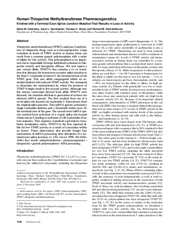 (PDF) Human thiopurine methyltransferase pharmacogenetics. Kindred with ...
