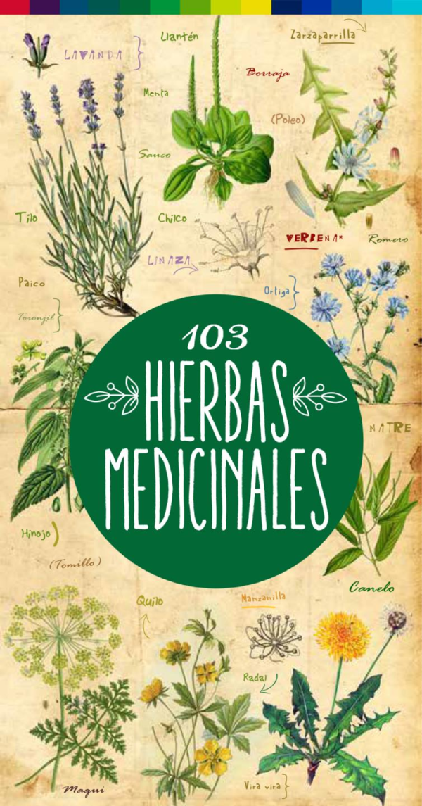 (PDF) Hierbas medicinales (1)