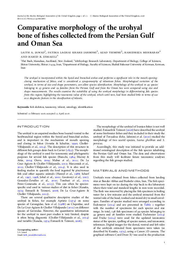 (PDF) Comparative morphology of the urohyal bone of fishes collected ...
