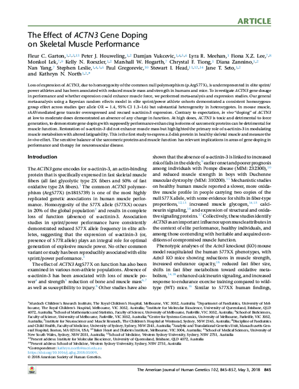 (PDF) The Effect of ACTN3 Gene Doping on Skeletal Muscle Performance