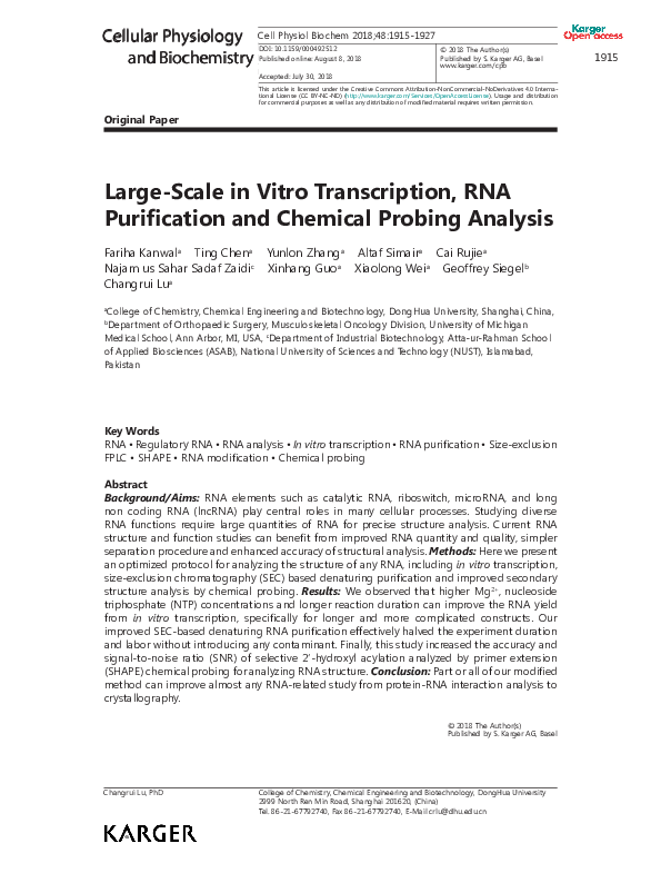 (PDF) Large-Scale in Vitro Transcription, RNA Purification and Chemical ...