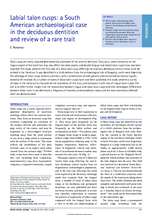 (PDF) Labial talon cusps: a South American archaeological case in the ...