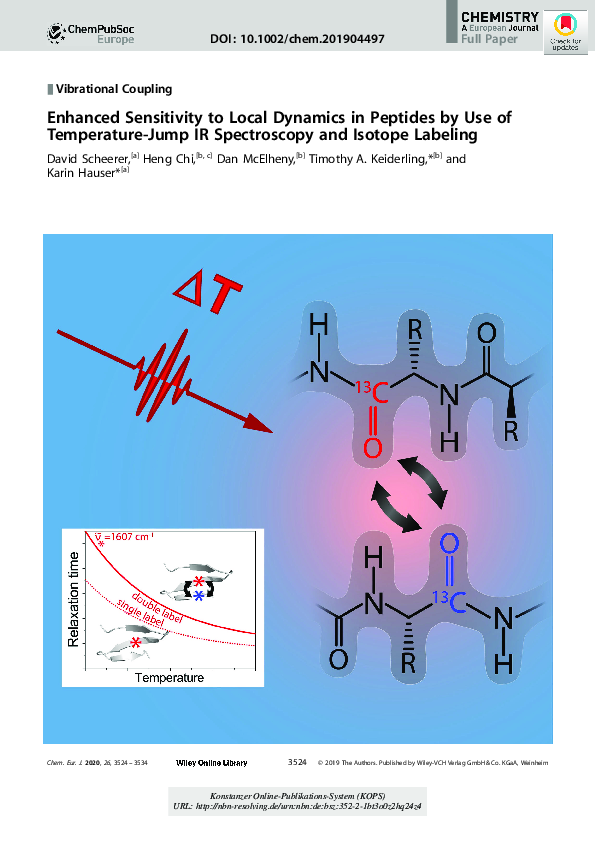 (PDF) Enhanced Sensitivity to Local Dynamics in Peptides by Use of ...