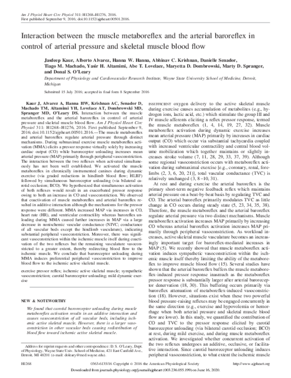 (PDF) Interaction Between the Muscle Metaboreflex and the Arterial ...