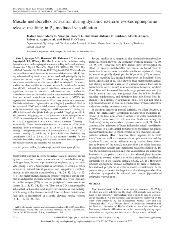 (PDF) Muscle Metaboreflex Activation during Dynamic Exercise ...