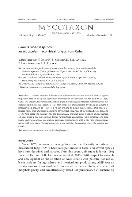 (PDF) Glomus cubense sp. nov., an arbuscular mycorrhizal fungus from Cuba