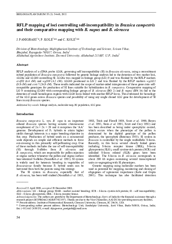 (PDF) RFLP mapping of loci controlling self-incompatibility in Brassica ...