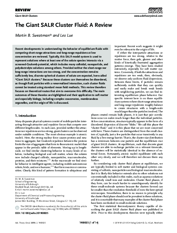 (PDF) The Giant SALR Cluster Fluid: A Review