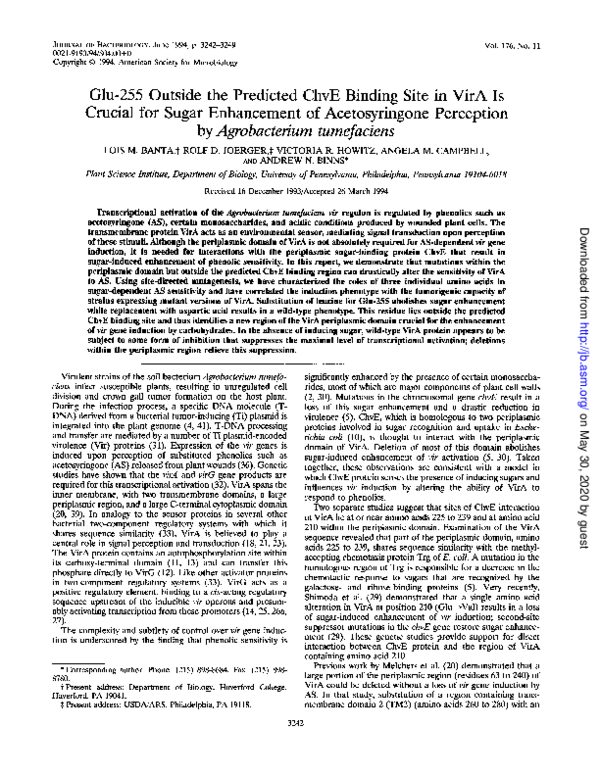 (PDF) Glu-255 outside the predicted ChvE binding site in VirA is ...