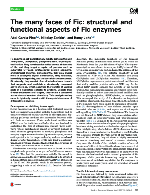 (PDF) The many faces of Fic: structural and functional aspects of Fic ...