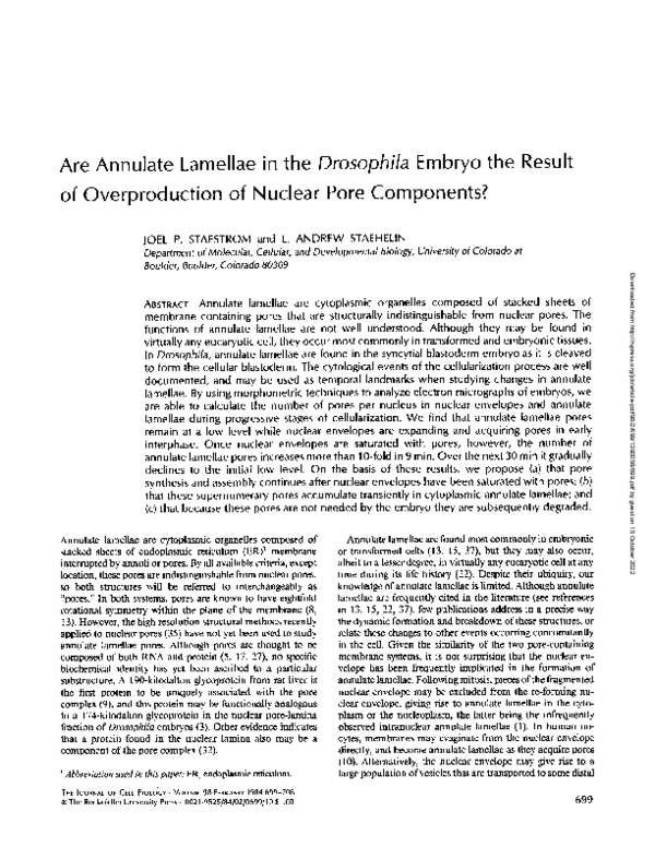 (PDF) Are annulate lamellae in the Drosophila embryo the result of ...