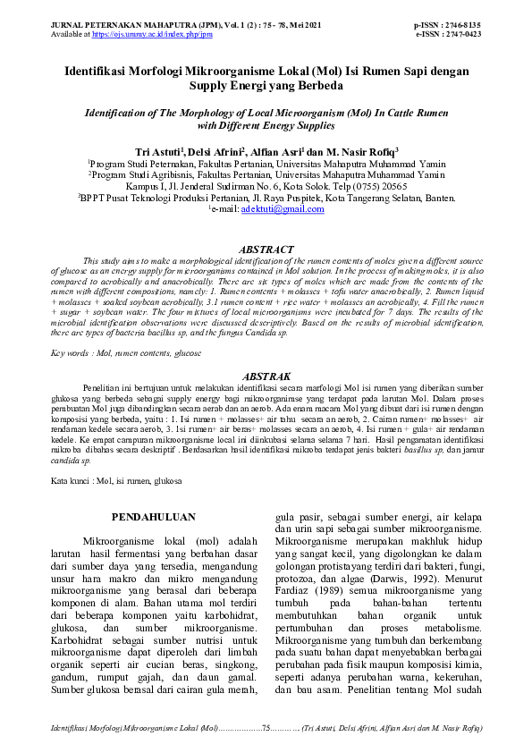 (PDF) Identifikasi Marfologi Mikroorganisme Lokal (Mol) Isi Rumen Sapi ...