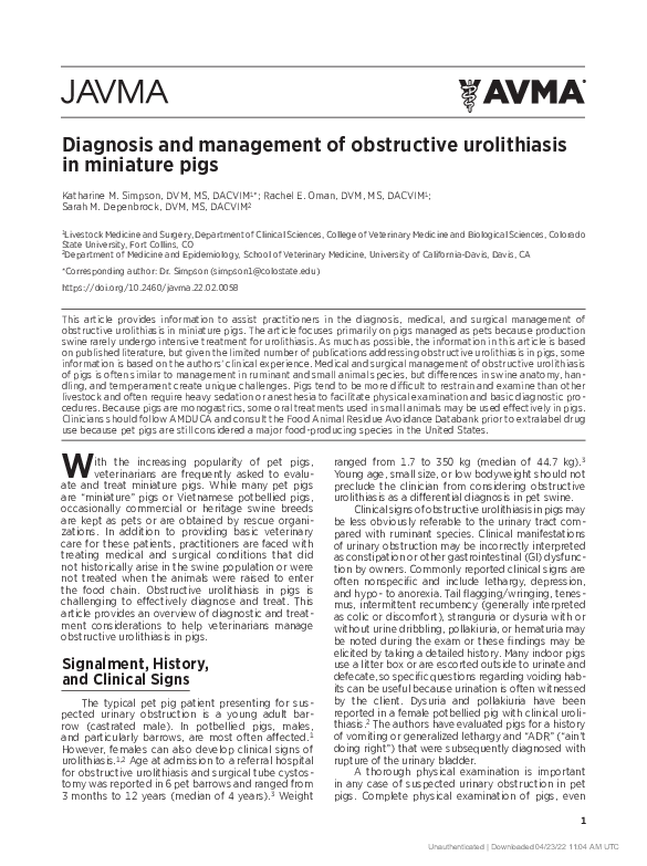 (PDF) Diagnosis and management of obstructive urolithiasis in miniature ...