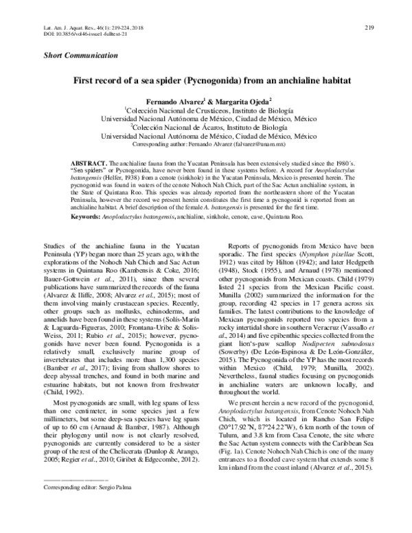 (PDF) First record of a sea spider (Pycnogonida) from an anchialine habitat
