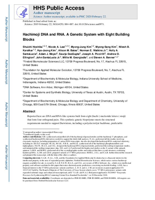 (PDF) Hachimoji DNA and RNA: A genetic system with eight building blocks