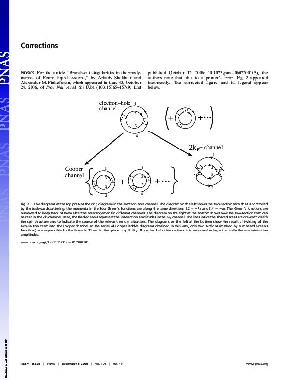 (PDF) Branch-cut singularities in thermodynamics of Fermi liquid systems